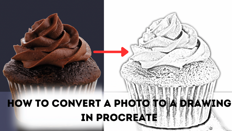 How to Convert a Photo to a Drawing in Procreate - Black and White Ver ...